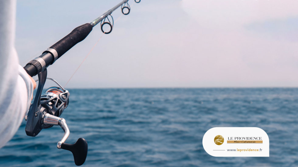 Qu'est ce que la pêche en mer en bateau ? - Catamaran Le Providence